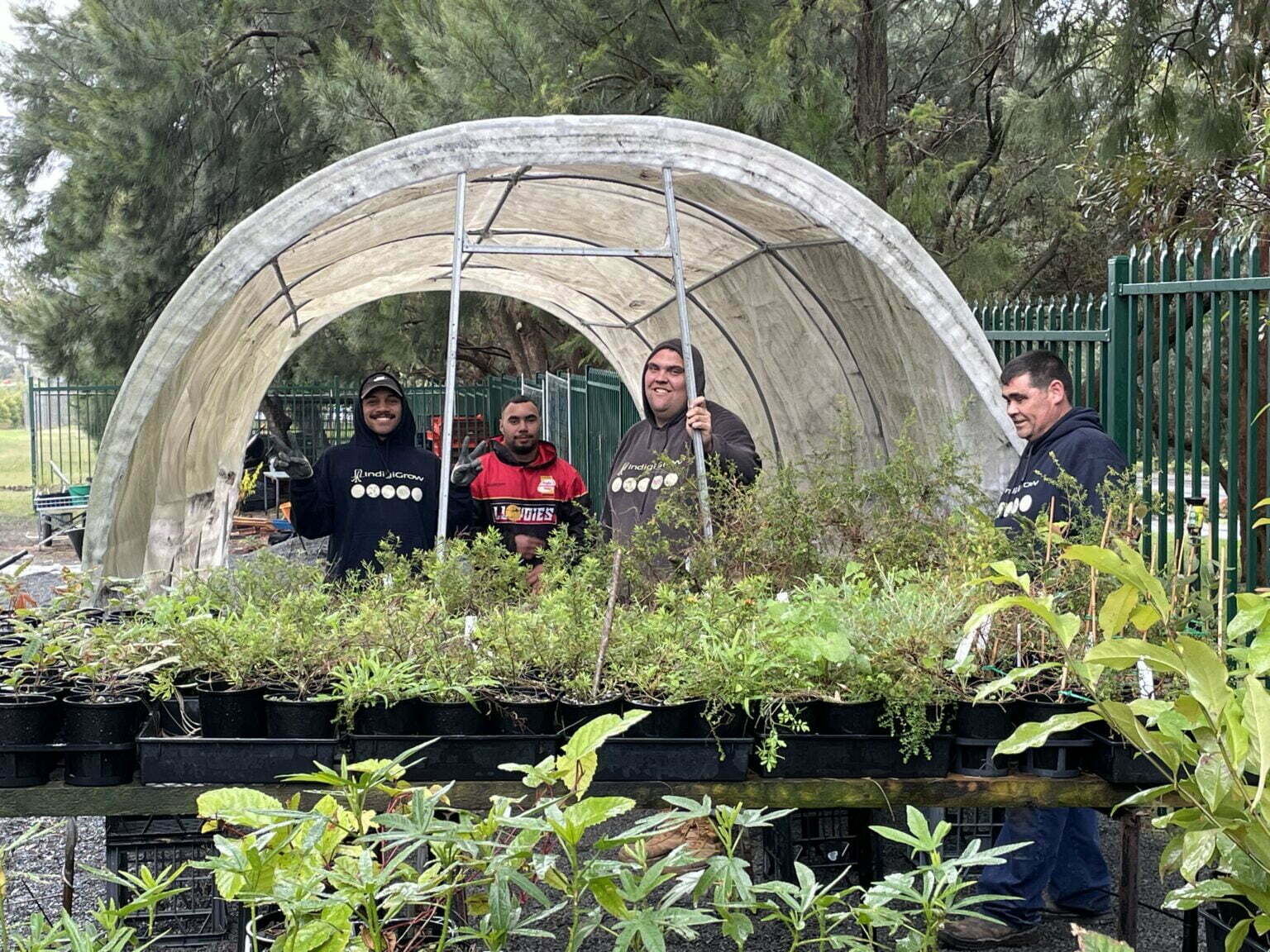 Education & Talks – IndigiGrow