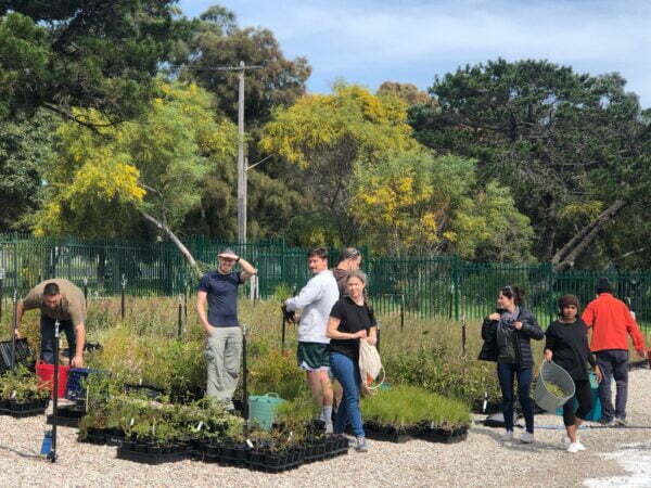 Education & Talks – IndigiGrow