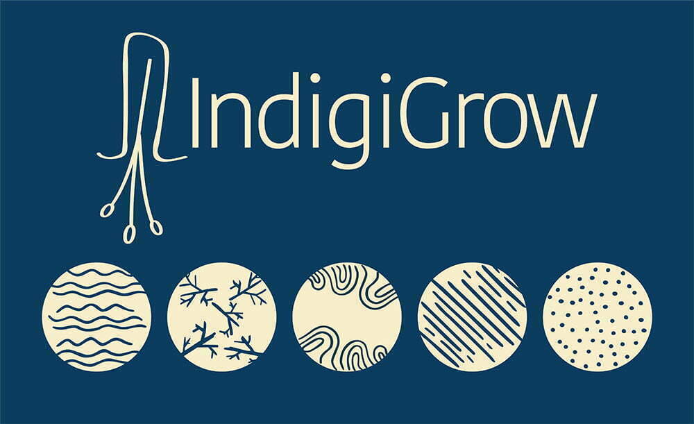 Education & Talks – IndigiGrow