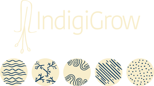 IndigiGrow – Seeds to Success