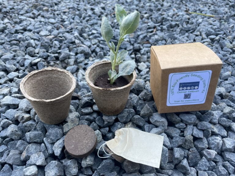 Eco-Friendly Seedling Starter Kit – Rosella – IndigiGrow